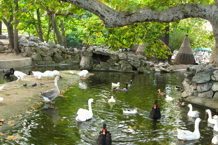 باغ وحش شهر بلگراد کجاست | عکس + آدرس و هر آنچه پیش از رفتن باید بدانید ...