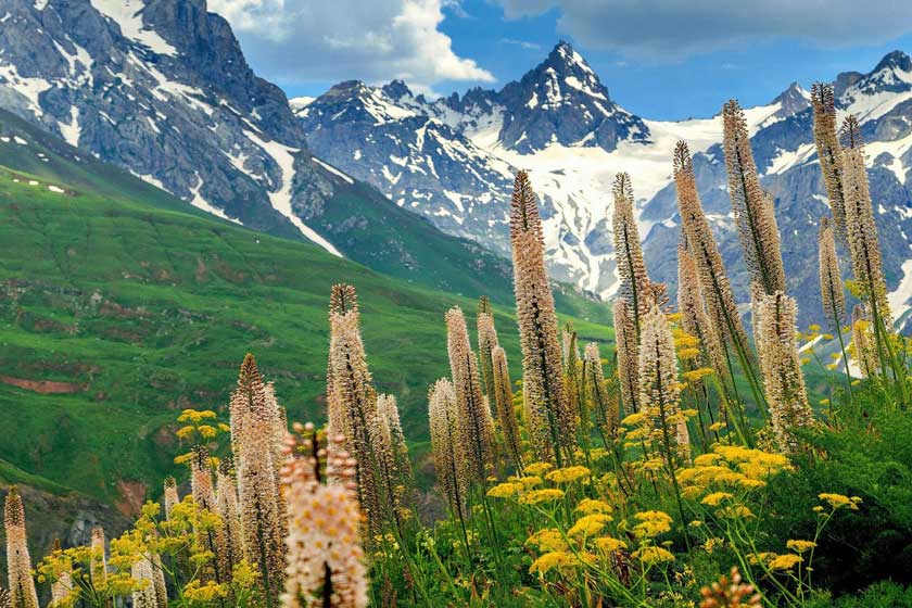 راهنمای سفر به تاجیکستان ۱۴۰۳ همه چیز درباره تاجیکستان کجارو