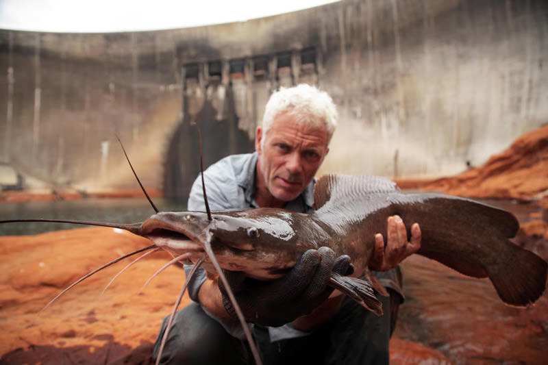 خطرات رودخانه نیل برای گردشگران و سافاری دوستان - کجارو