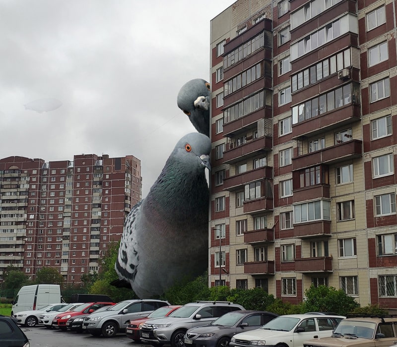 هجوم حیوانات غول‌پیکر به روسیه - کجارو